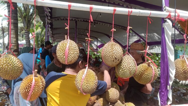 Puncak Festival Durian Batu Hiu 2024,Panitia Akan Menggelar Lomba ...